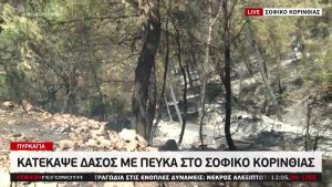 ΜΕΣΗΜΒΡΙΝΟ ΔΕΛΤΙΟ ΕΙΔΗΣΕΩΝ | MEGA TV