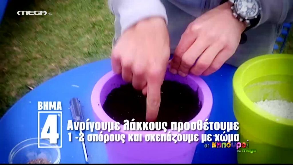 EPISODE 039 | MEGA TV