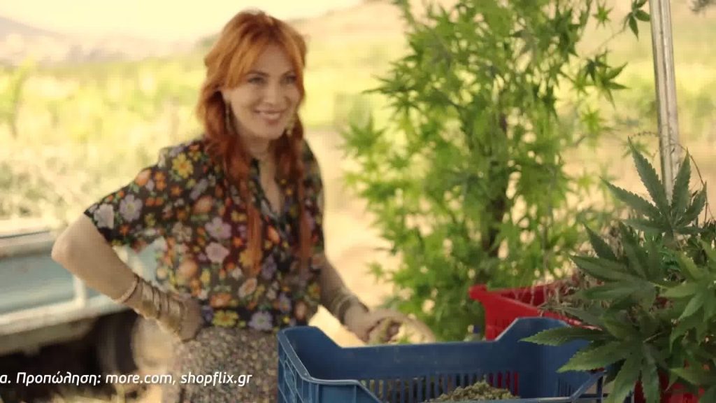 Η Μαριχουάνα της μαμάς είναι η καλύτερη | MEGA TV